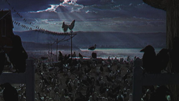 10 Everyday Things Horror Movies Have Made Terrifying Page 10