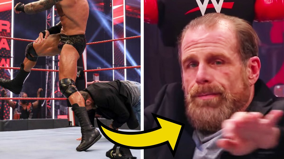 10 Wrestlers Who Barely Sold Finishing Moves Page 10