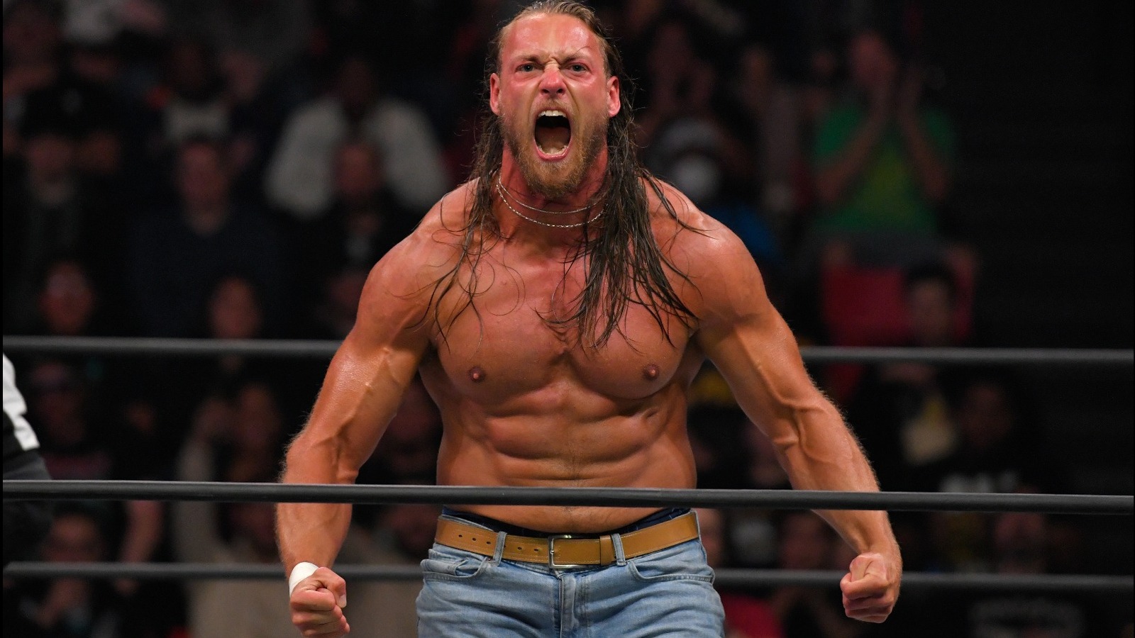 Every Wrestler Who Has Jumped From WWE To AEW (& Vice Versa) Every Wrestler Who Has Jumped From WWE To AEW (& Vice Versa)